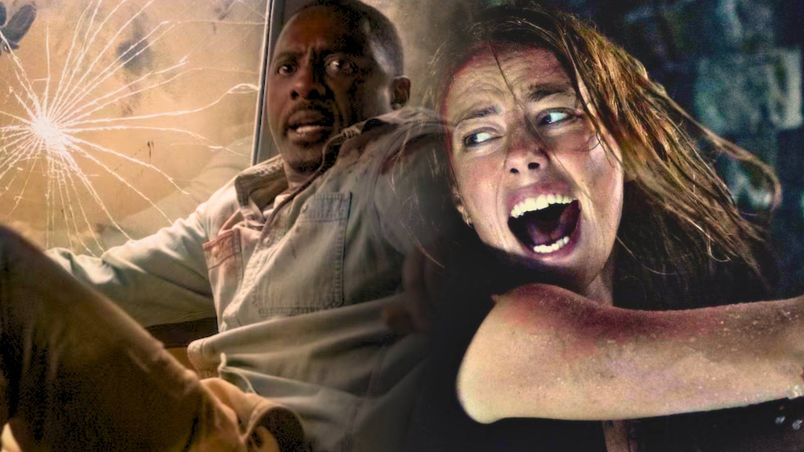 10 Best Movies Like Beast