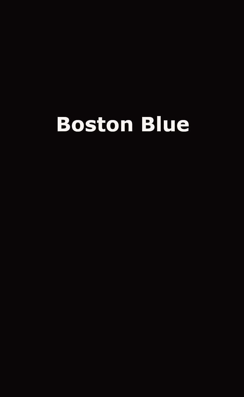 Boston Blue Cast & Character Guide