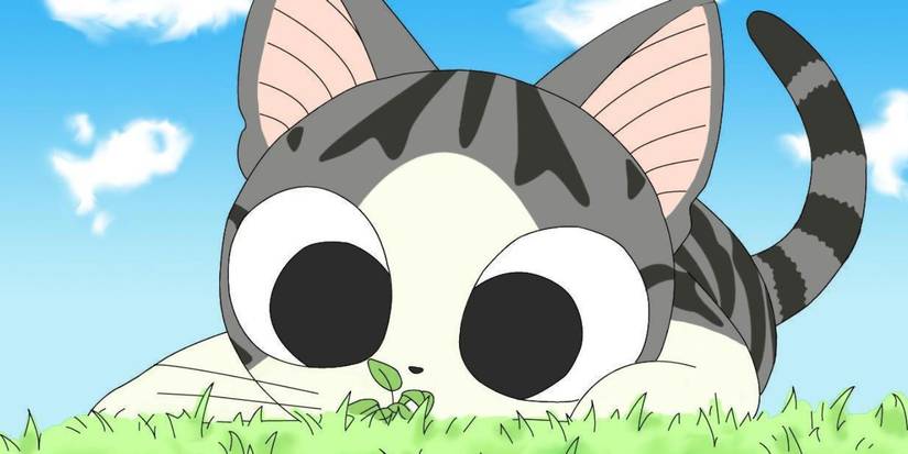 If You Love Hello Kitty, These 8 Anime Need to Join On Your Watchlist ASAP