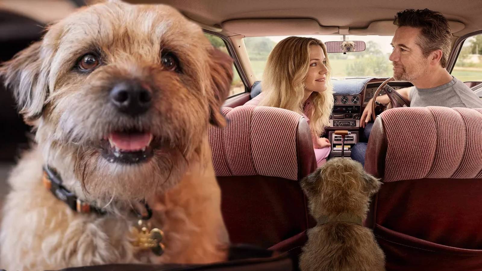 Colin From Accounts Season 3: Confirmation, Cast & Everything We Know