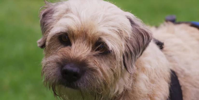 Colin From Accounts Season 3: Confirmation, Cast & Everything We Know