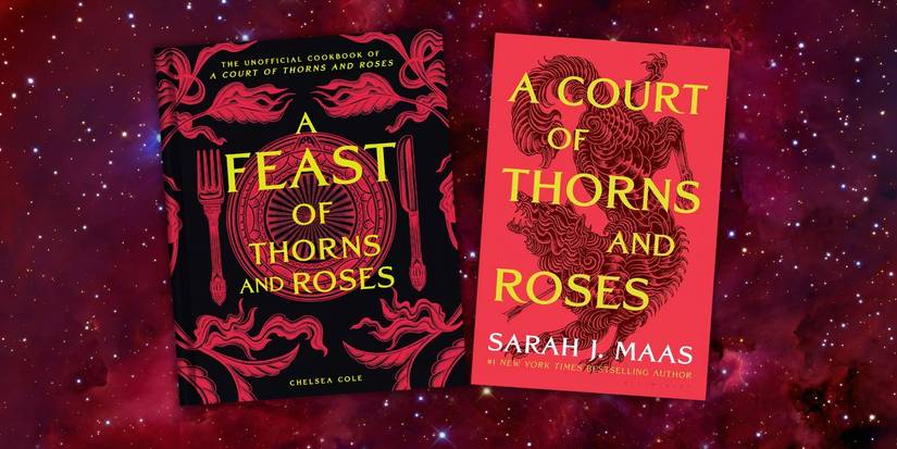 A Court Of Thorns & Roses' Unofficial Cookbook Is The Perfect Way To ...