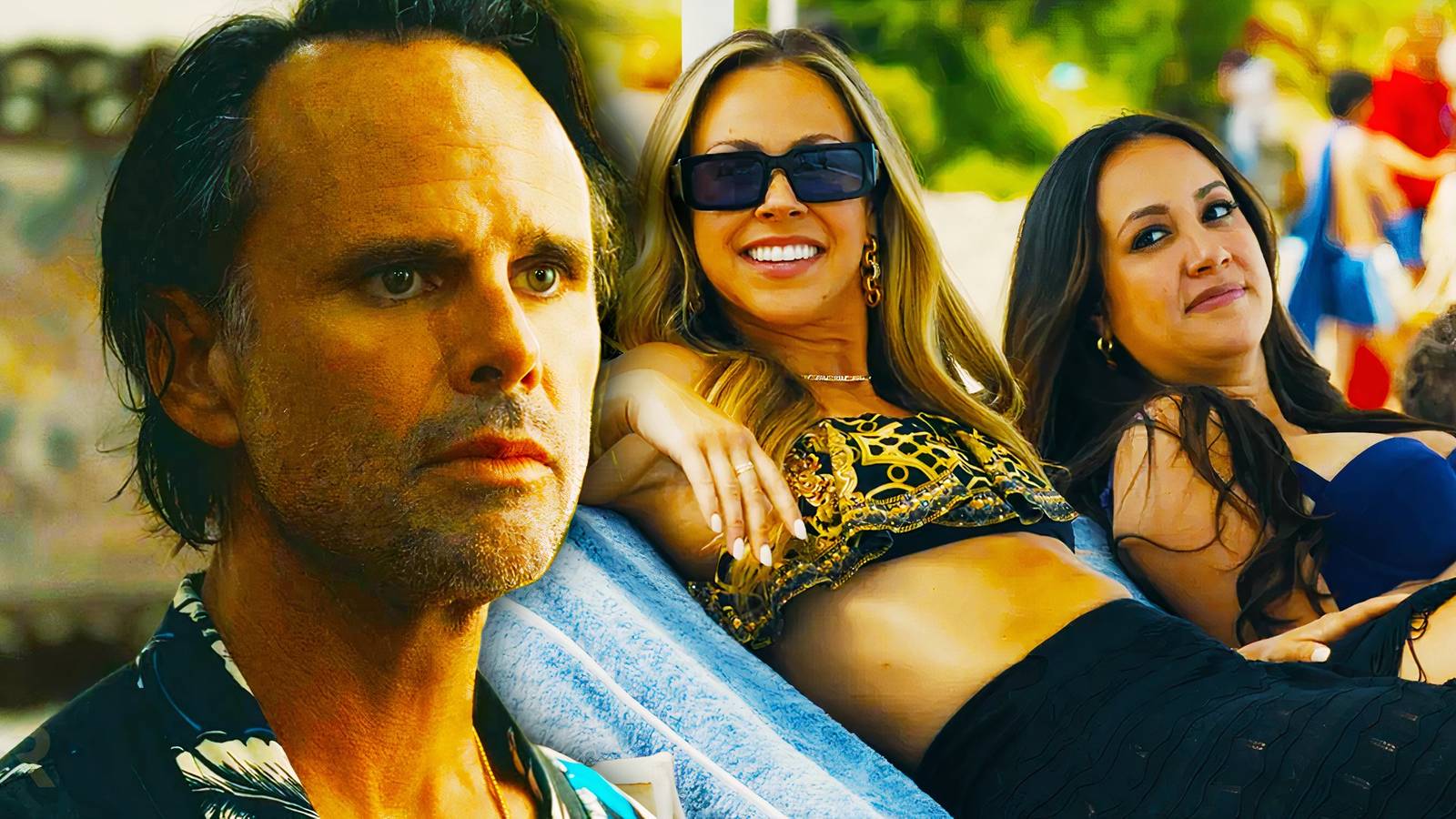 Every Survivor Castaway Cameo On Mike White's The White Lotus