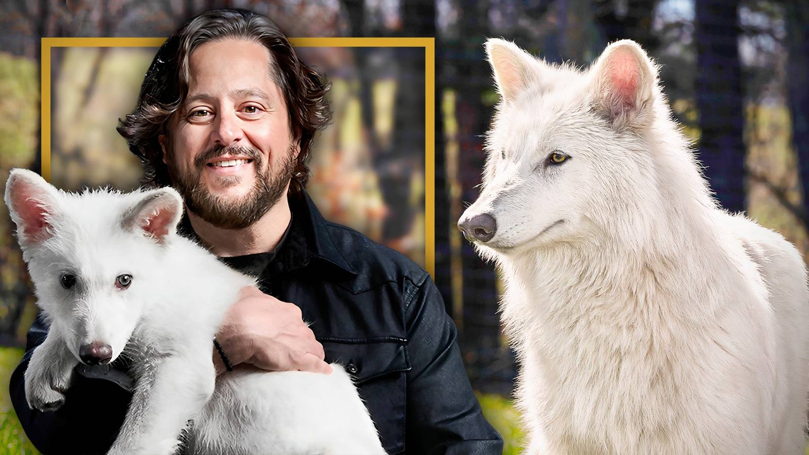 Everything You Need To Know About The Dire Wolf De-Extinction Explained ...