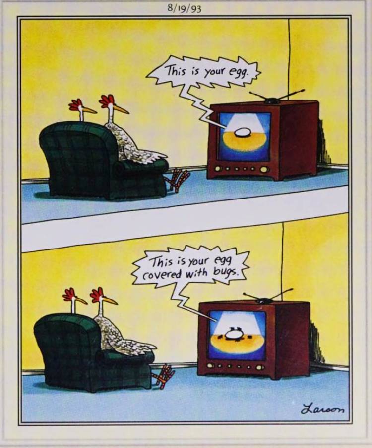 10 Hilarious Far Side Comics Where Birds Act Like Humans