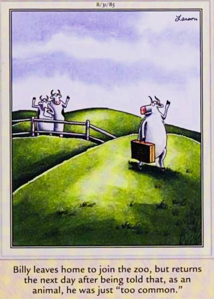 10 Hilarious Far Side Comics Where Cows Act Like Humans