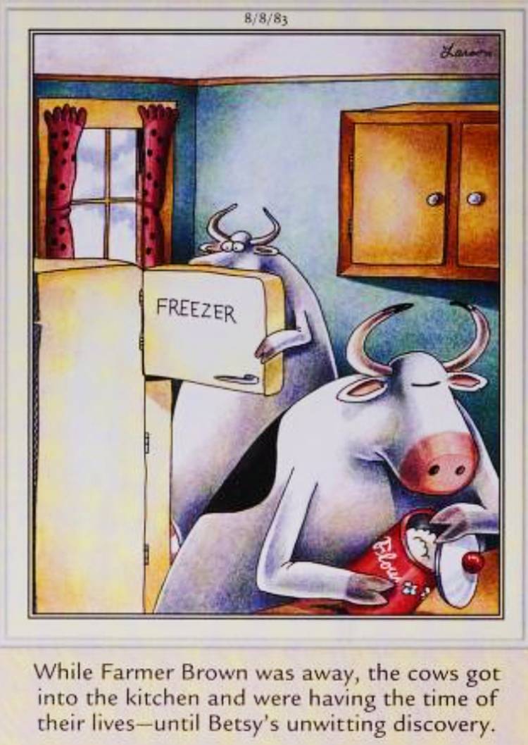 Yes, This Infamous Far Side Comic Has An Even More Disturbing Sequel