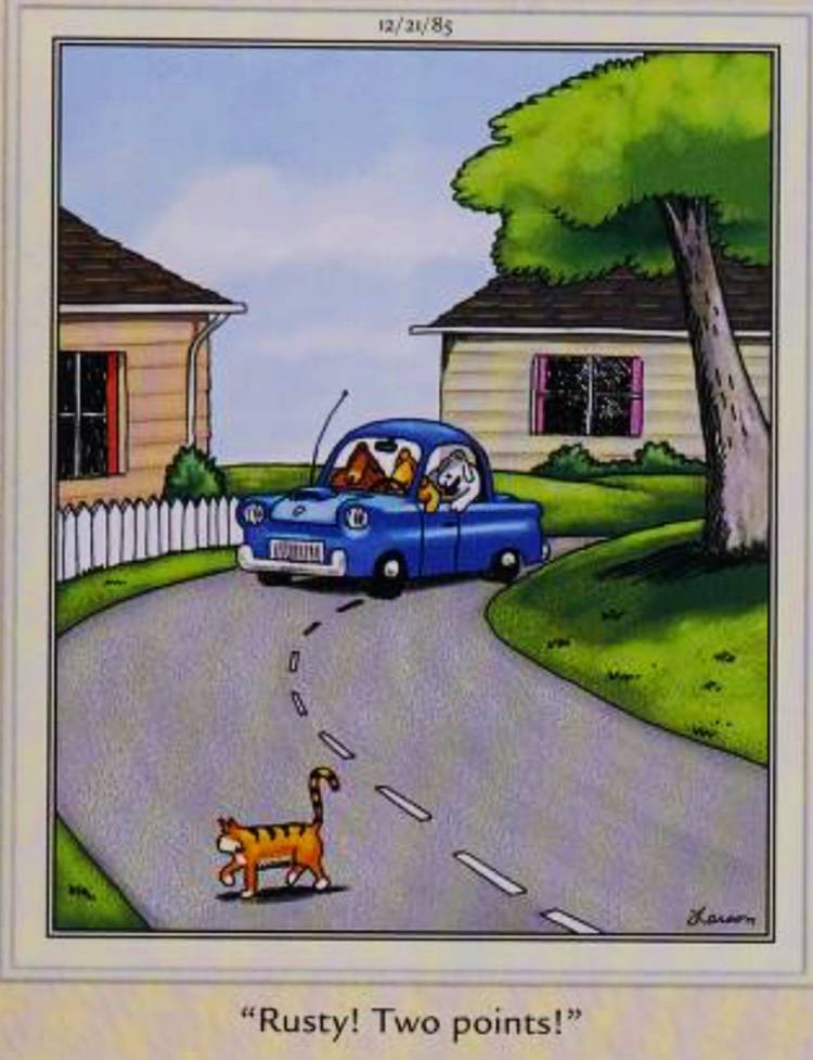 The Far Side's Worst Drivers Terrorize the Roads in These 10 Hilarious ...