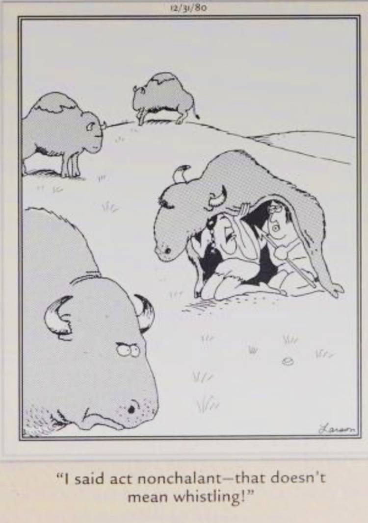 10 Far Side Comics Where Humans Act Like Animals