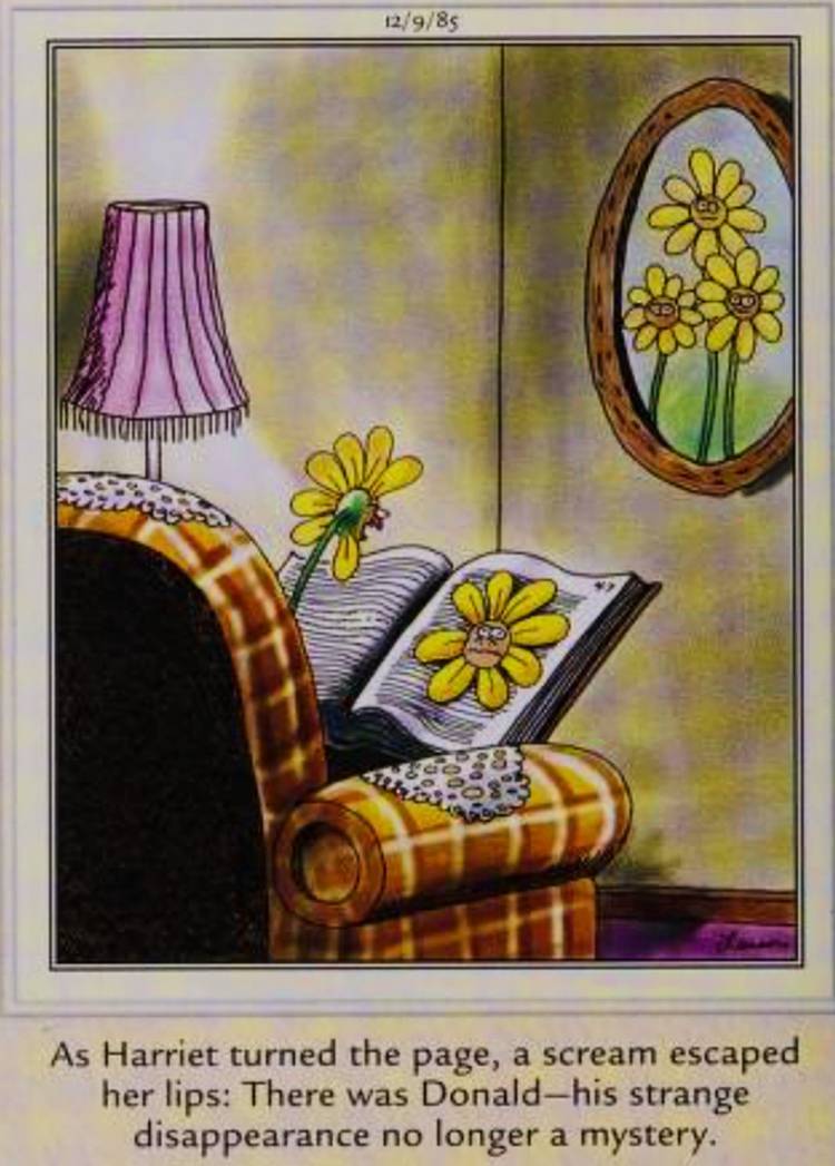 10 Far Side Comics Book Nerds Will Love