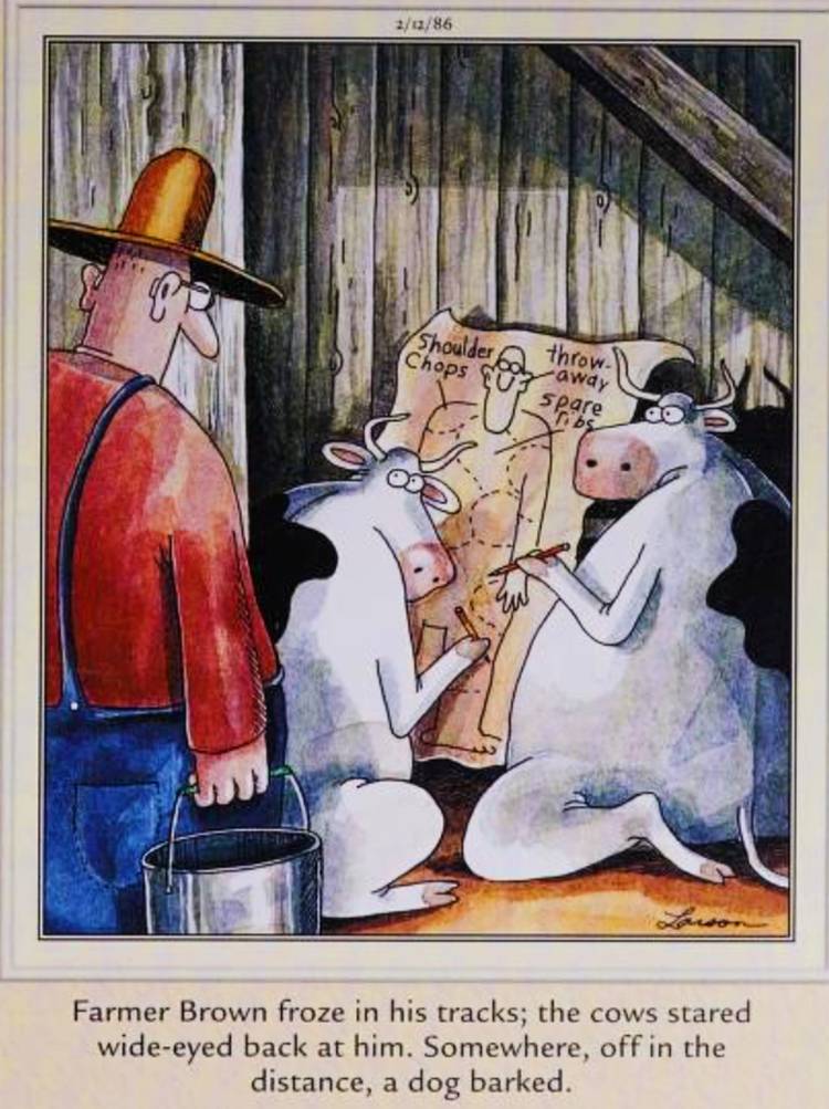 10 Hilarious Far Side Comics Where Cows Act Like Humans