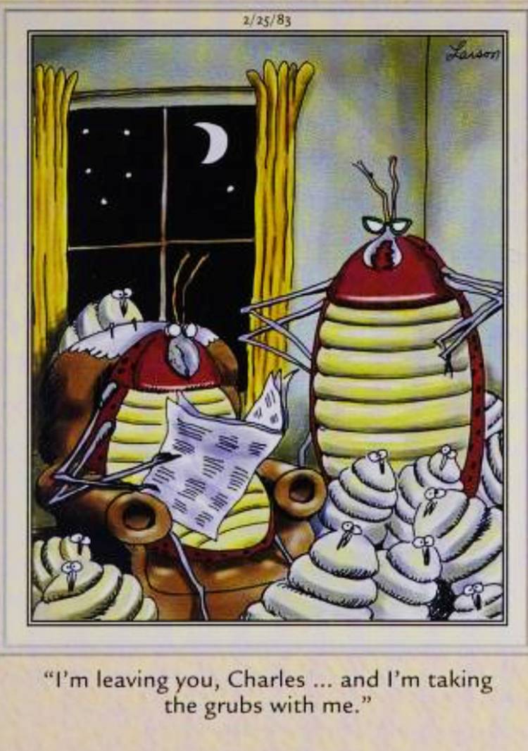 These Far Side Comics’ Original Captions Were Too “Grotesque,” Even For ...