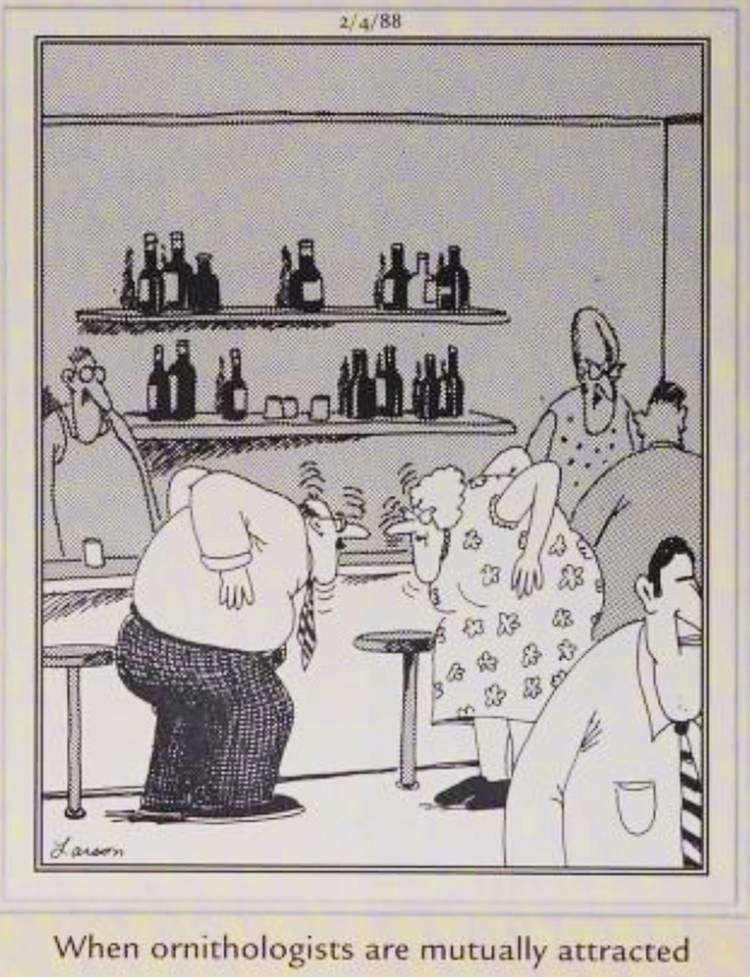 10 Far Side Comics Where Humans Act Like Animals