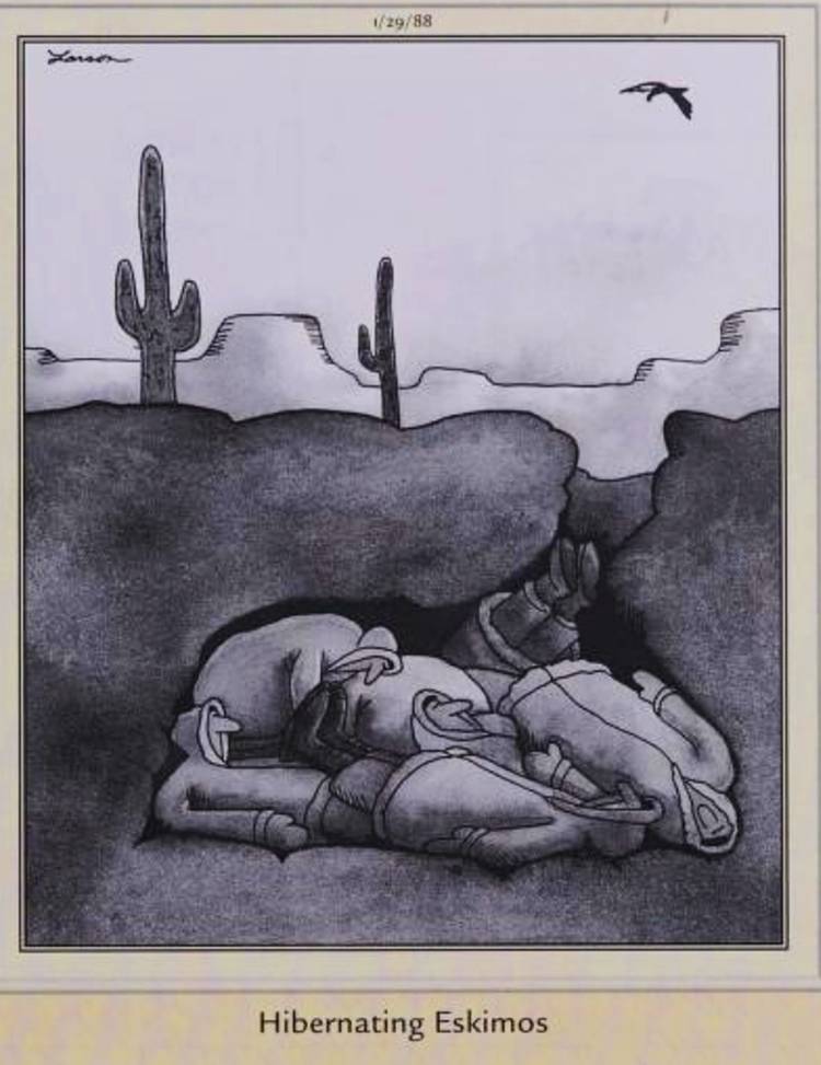 10 Far Side Comics Where Humans Act Like Animals