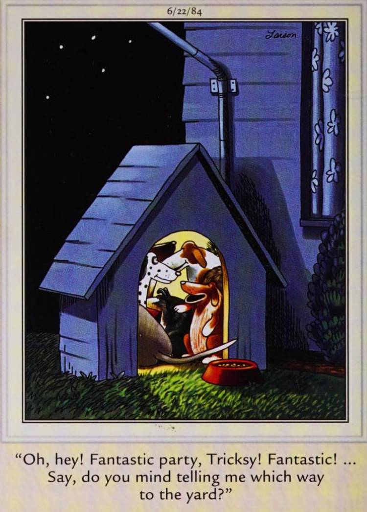12 Hilarious Far Side Comics Set At Parties