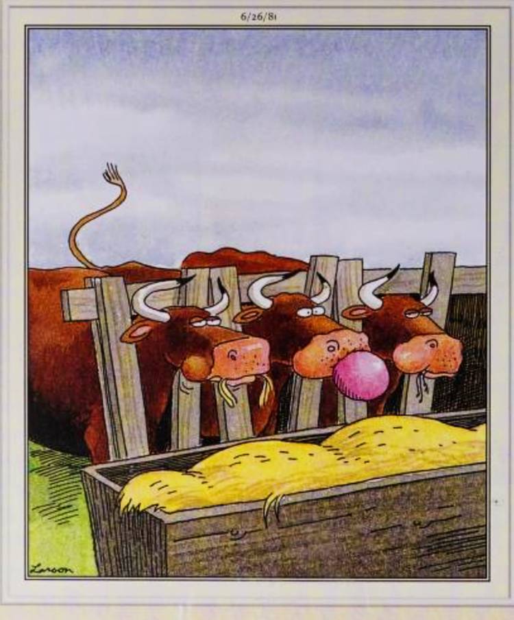 10 Far Side Comics That Really (Really) Need a Caption