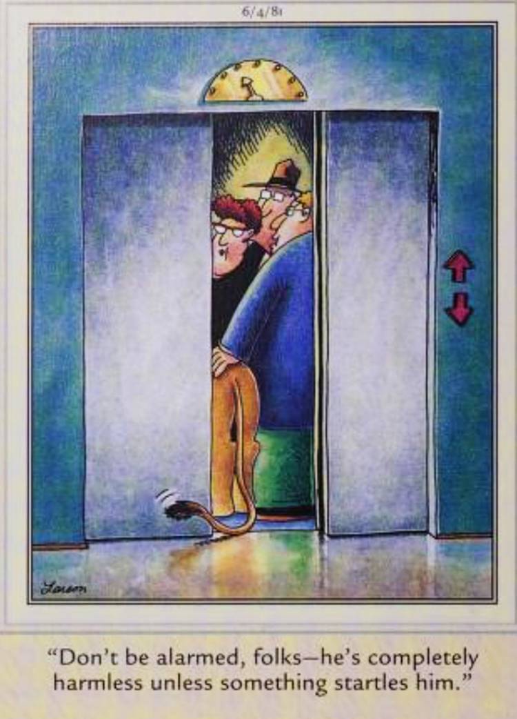 9 Hilarious Far Side Comics About Elevators And Escalators
