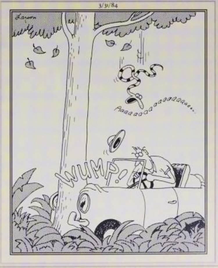 10 Far Side Car Crashes We Can't Look Away From