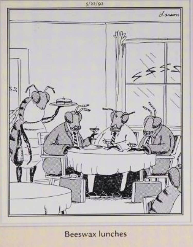 10 Far Side Comics Set At Diners