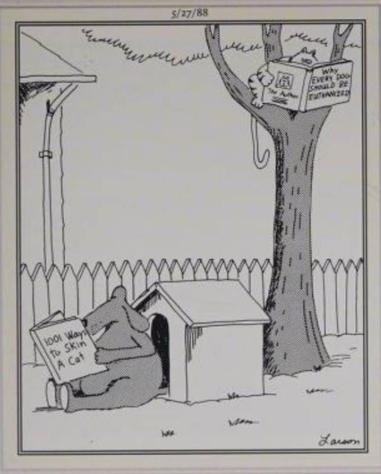 10 Far Side Comics Book Nerds Will Love