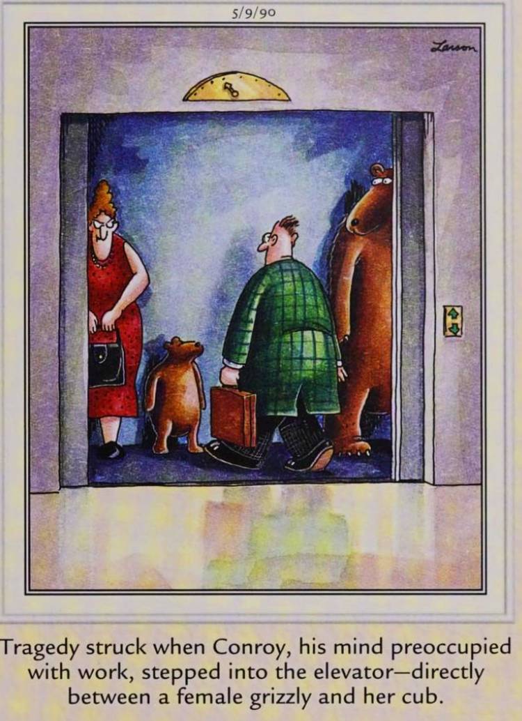Far Side Bears