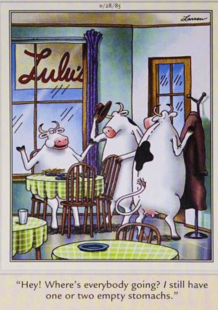 10 Funniest Far Side Comics That Deliver Perfect Absurd Humor