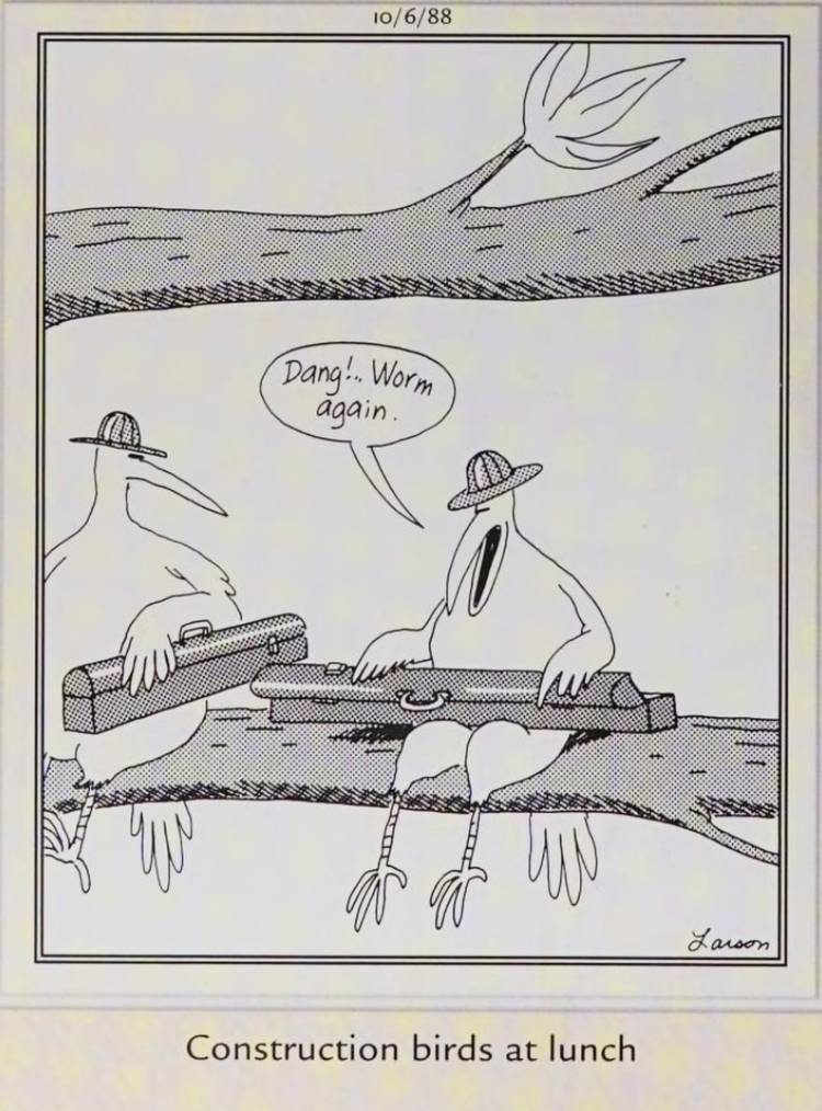 10 Hilarious Far Side Comics Where Birds Act Like Humans