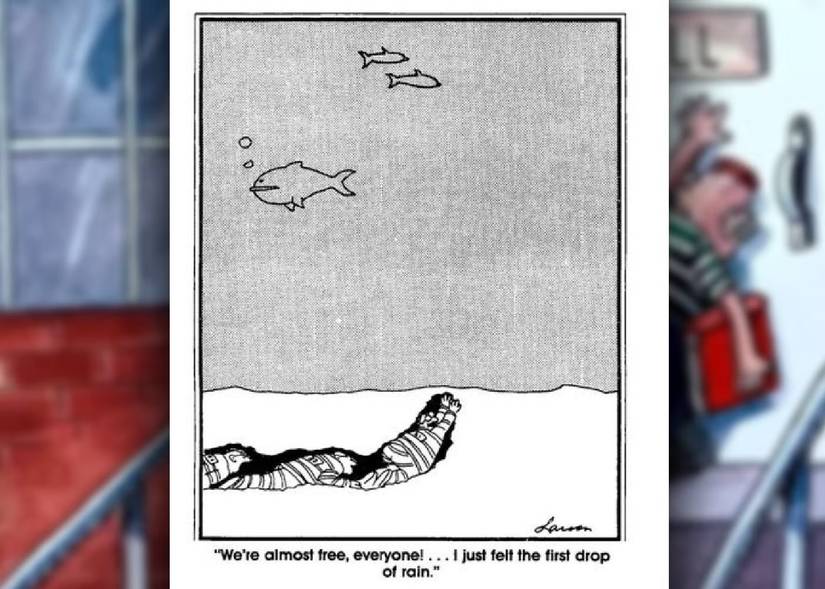 10 Funniest Far Side Comics That Will Change How You See Stephen King