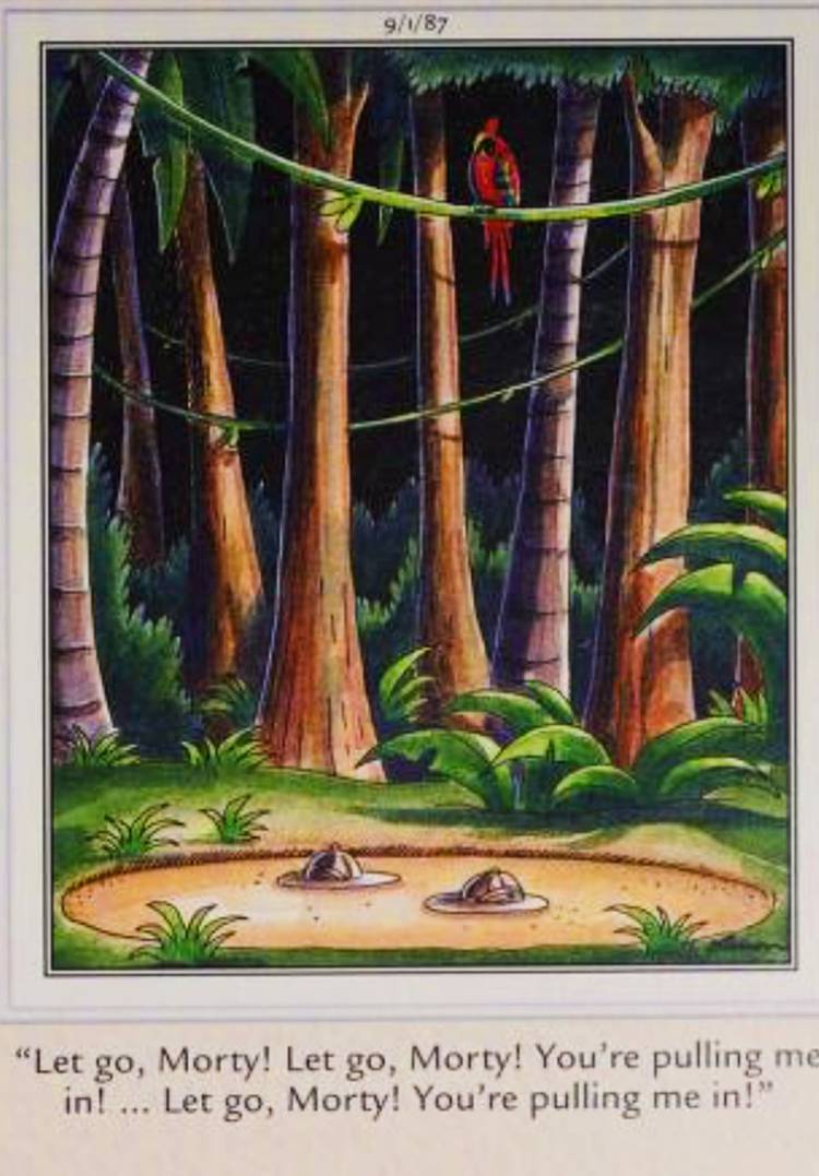 6 Far Side Comics About Quicksand That Will Suck You In