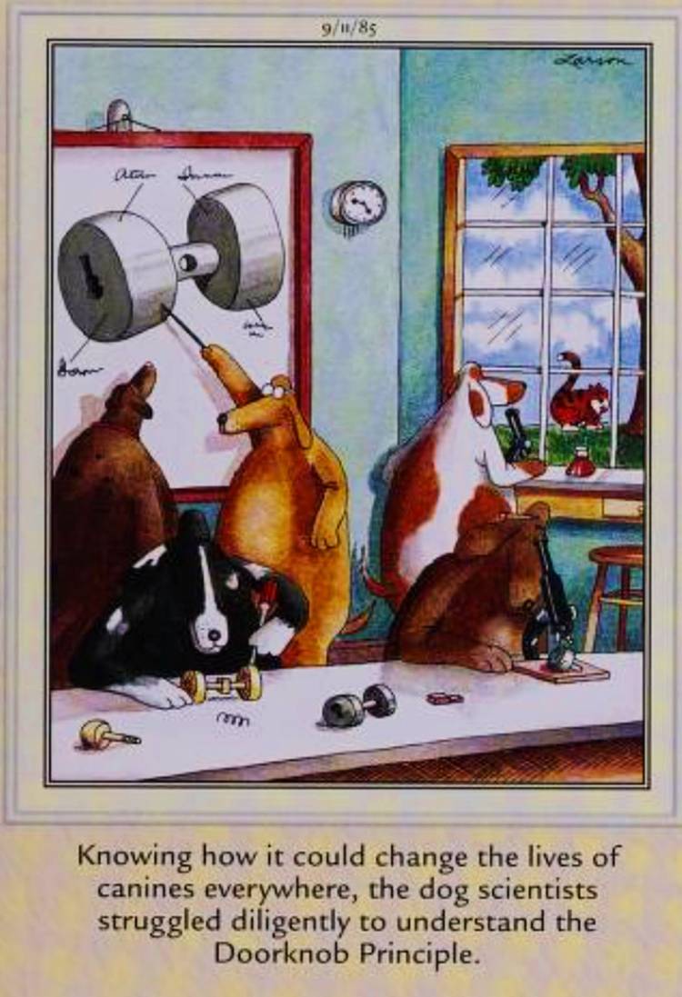 9 Genius Far Side Comics That Make Scientific Equations Hilarious