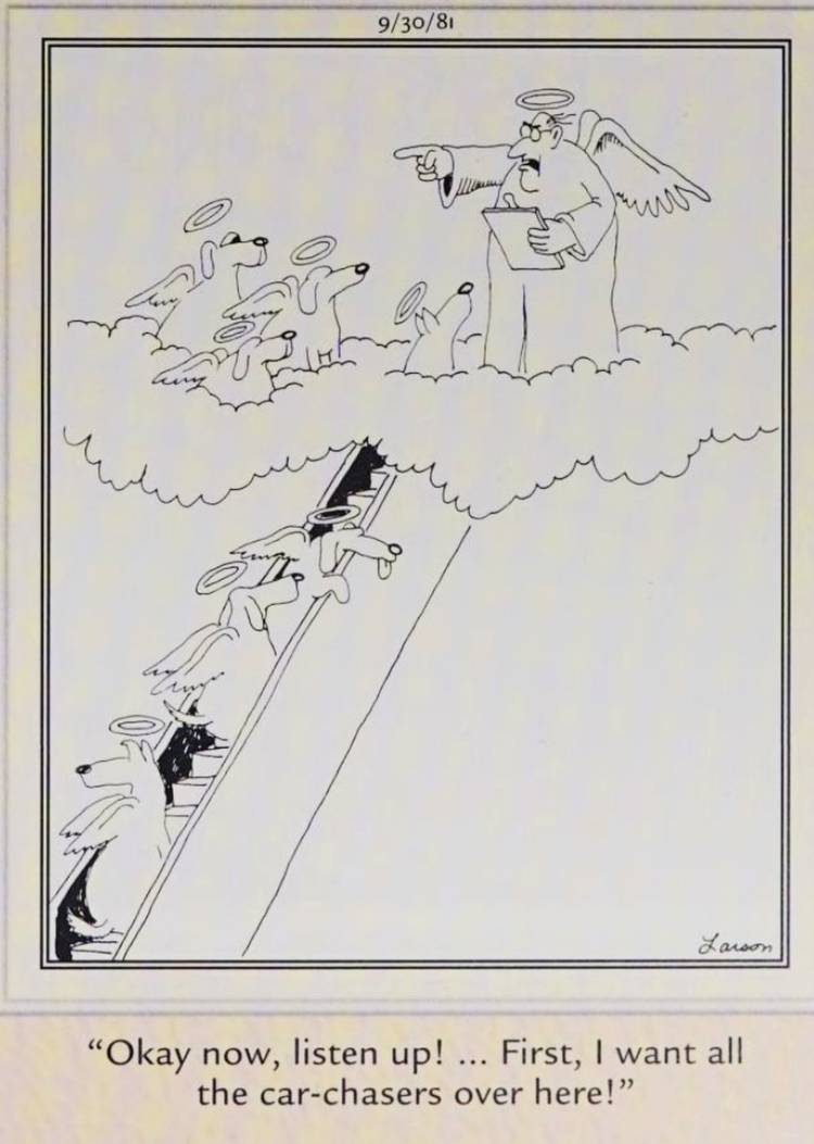 9 Hilarious Far Side Comics About Elevators And Escalators