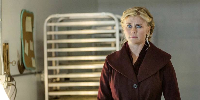 All Hannah Swensen Mysteries Movies In Order (& Where To Watch Them Online)