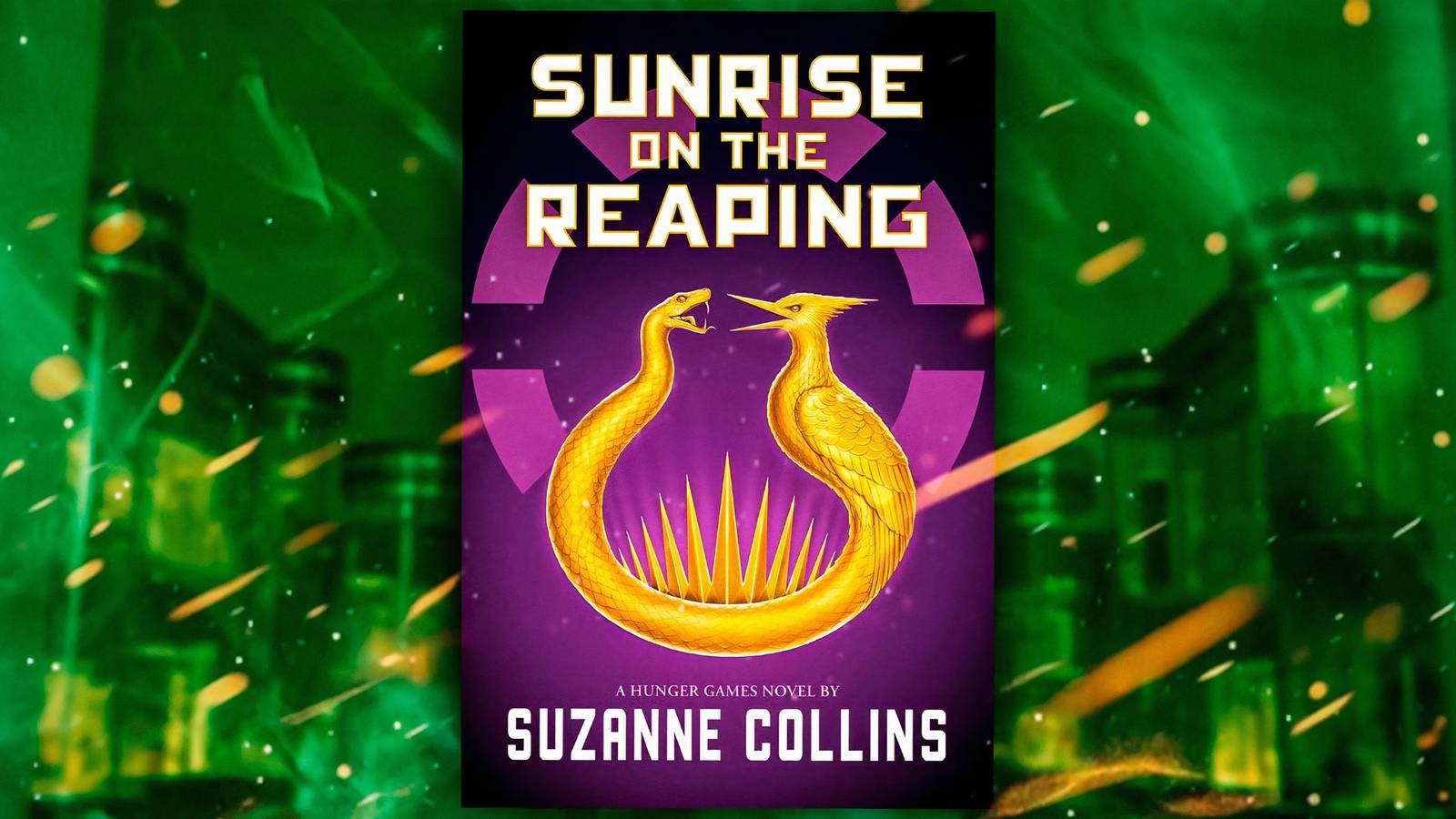 I'm More Convinced Than Ever That This Hunger Games Theory Is True ...