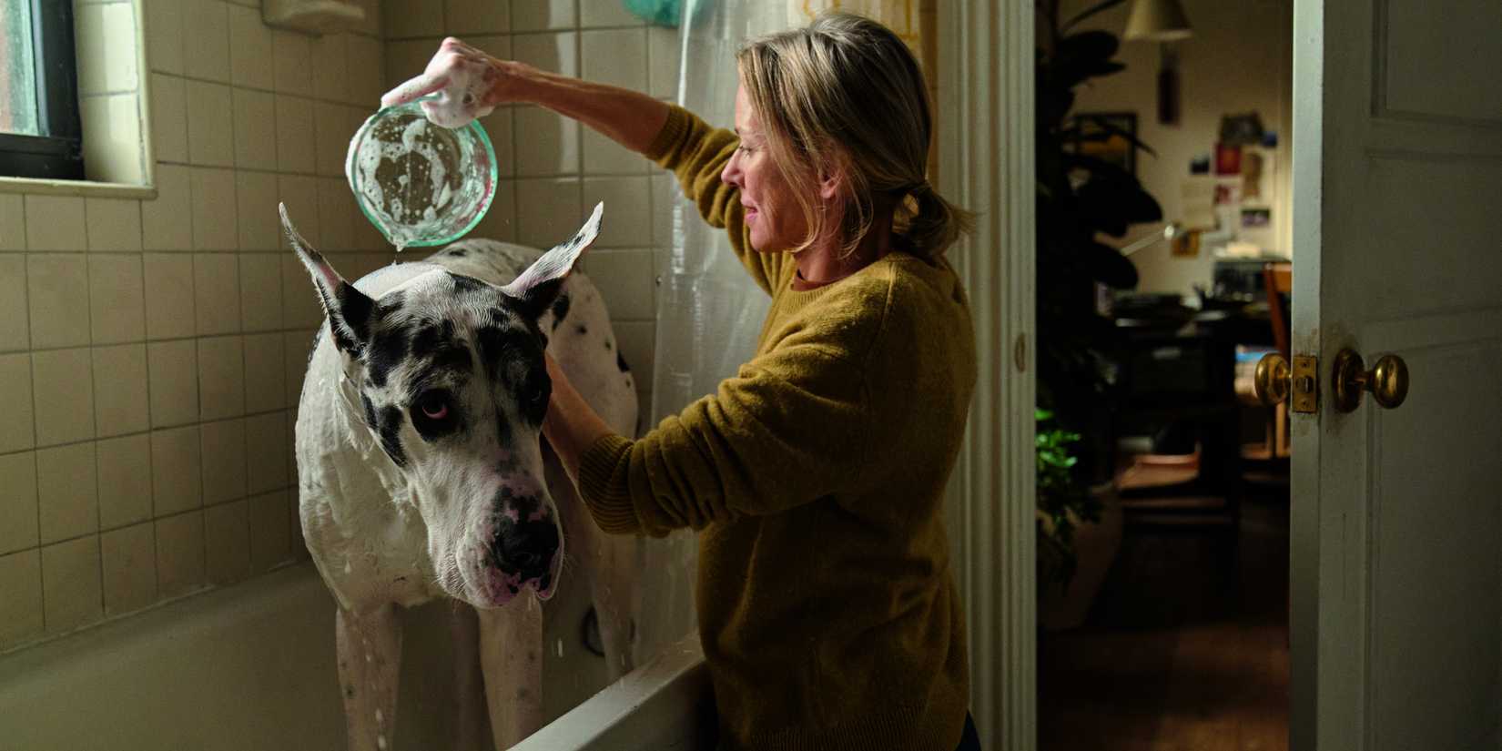 The Friend Review: I Wish I Could Enjoy It, But Something About This ...