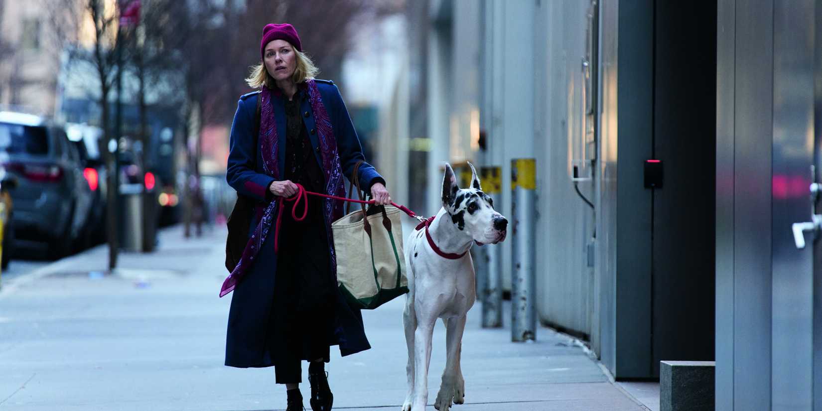 The Friend Review: I Wish I Could Enjoy It, But Something About This ...