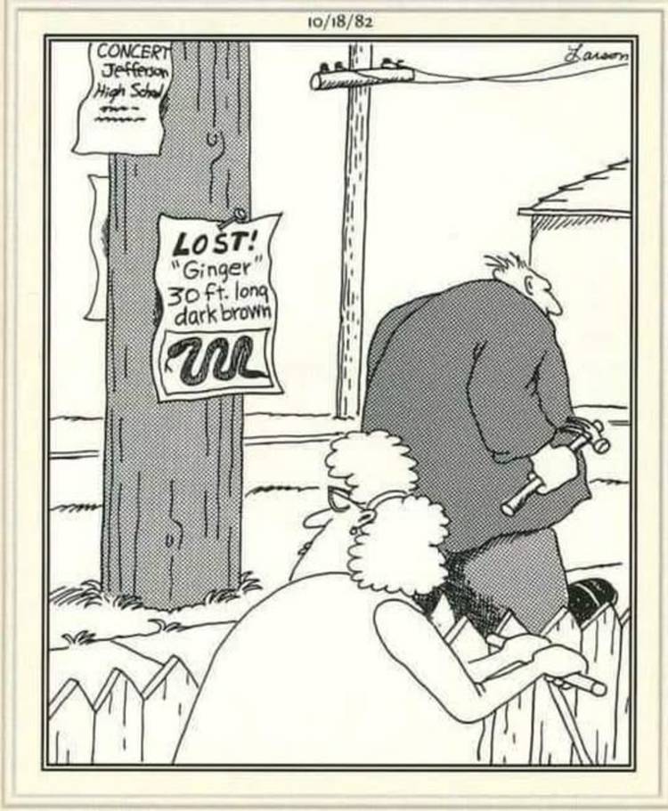 10 Hilarious Far Side Comics About Being Lost