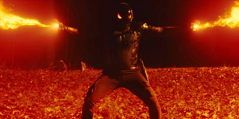 The Grove Summary, Trailer, Cast, Where to Watch and More