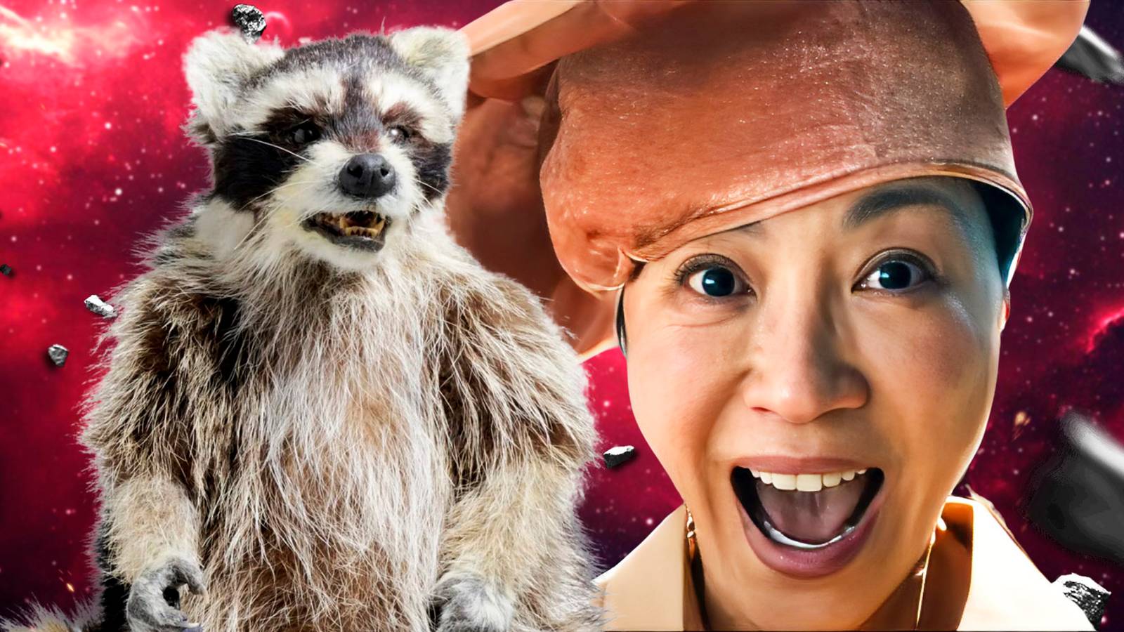 "The Idea Is So Ridiculous That We Can't Stop Thinking About It" — Raccacoonie Meaning & How ...