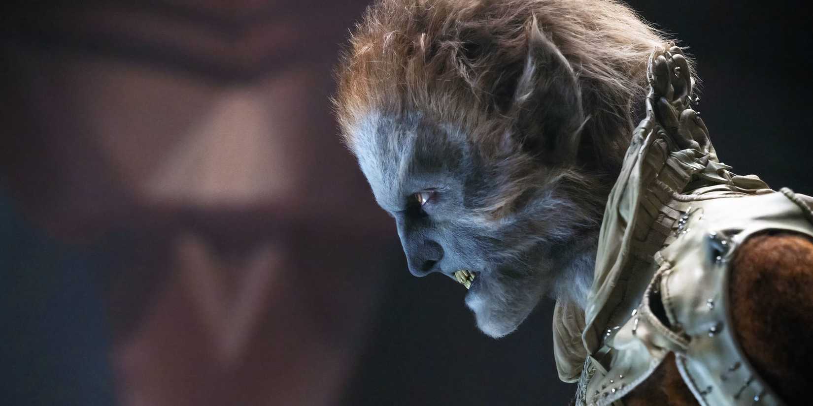 The New Mystical Race In The Wheel Of Time Season 3 Finale Explained ...