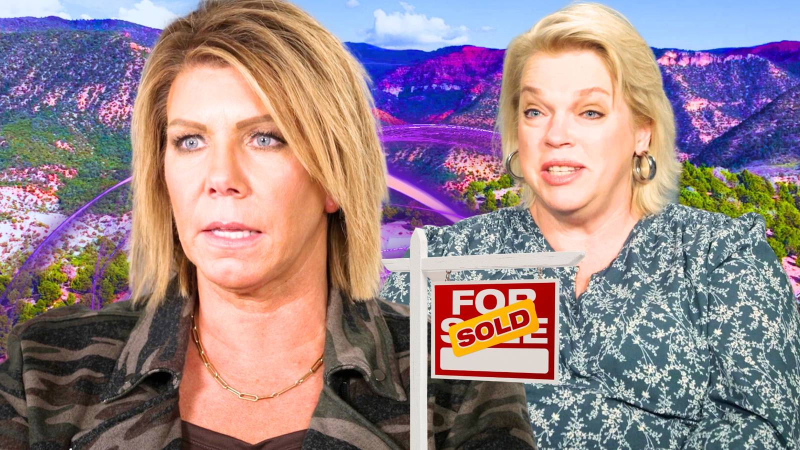 Sister Wives’ Janelle Brown’s Newfound Friendship With Meri Brown Is ...