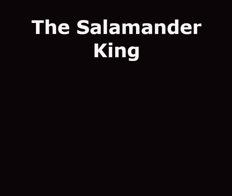 The Salamander King Summary, Trailer, Cast, Where to Watch and More