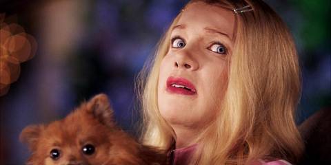 white chicks Summary, Trailer, Cast, Where to Watch and More