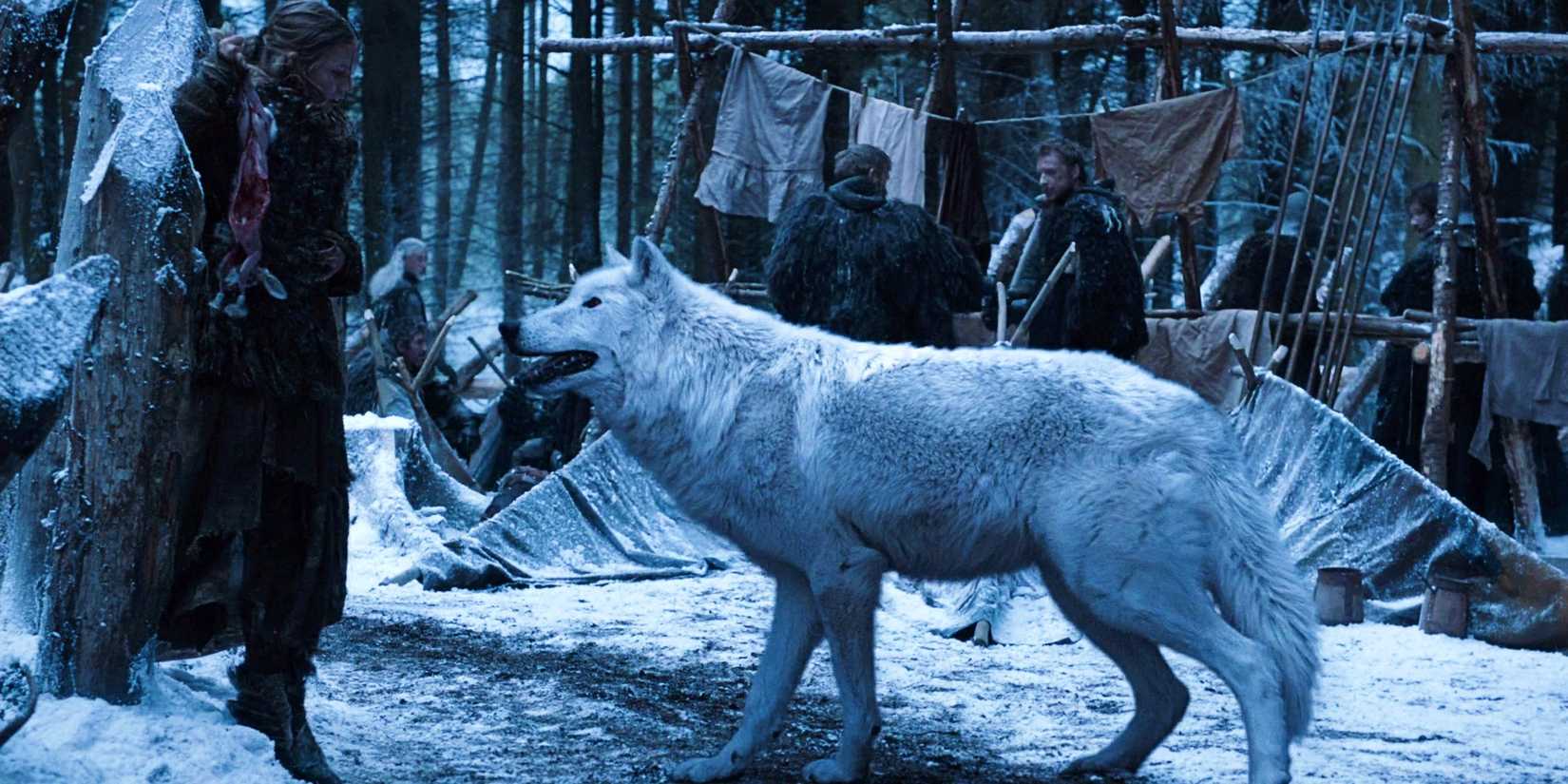 Dire Wolves Have Been Brought Back From Extinction In Unprecedented ...
