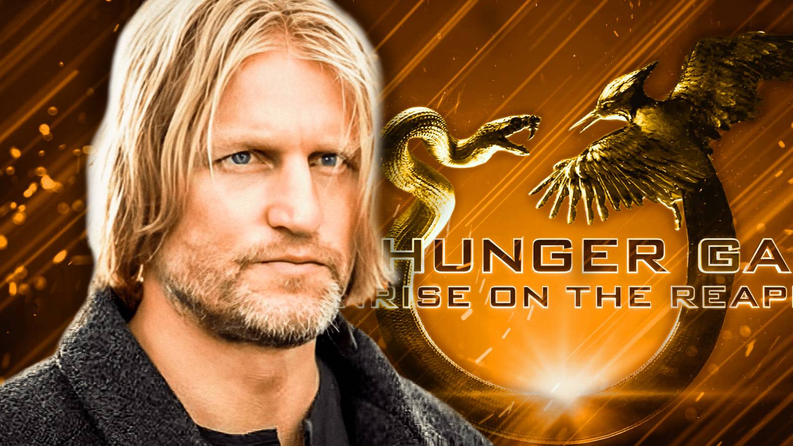 Sunrise on the Reaping Scenes the New Hunger Games Movie Must Adapt