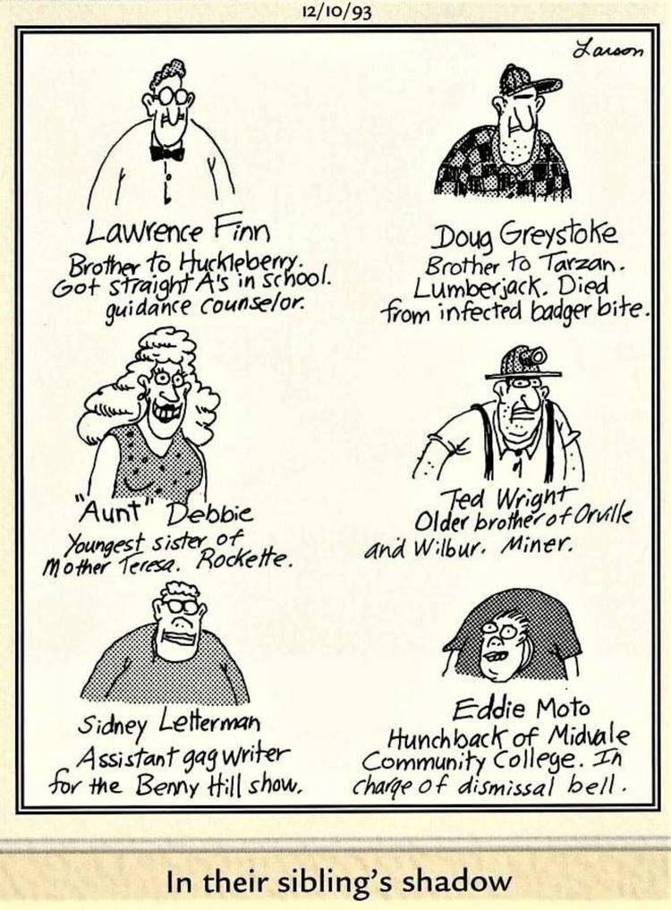 10 Far Side Comics That Perfectly Capture the Chaos of Family Life