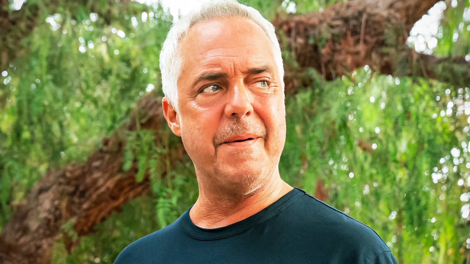 After Bosch: Legacy’s Ending, Netflix’s Returning 4-Season Legal Drama In The Same Book Universe ...
