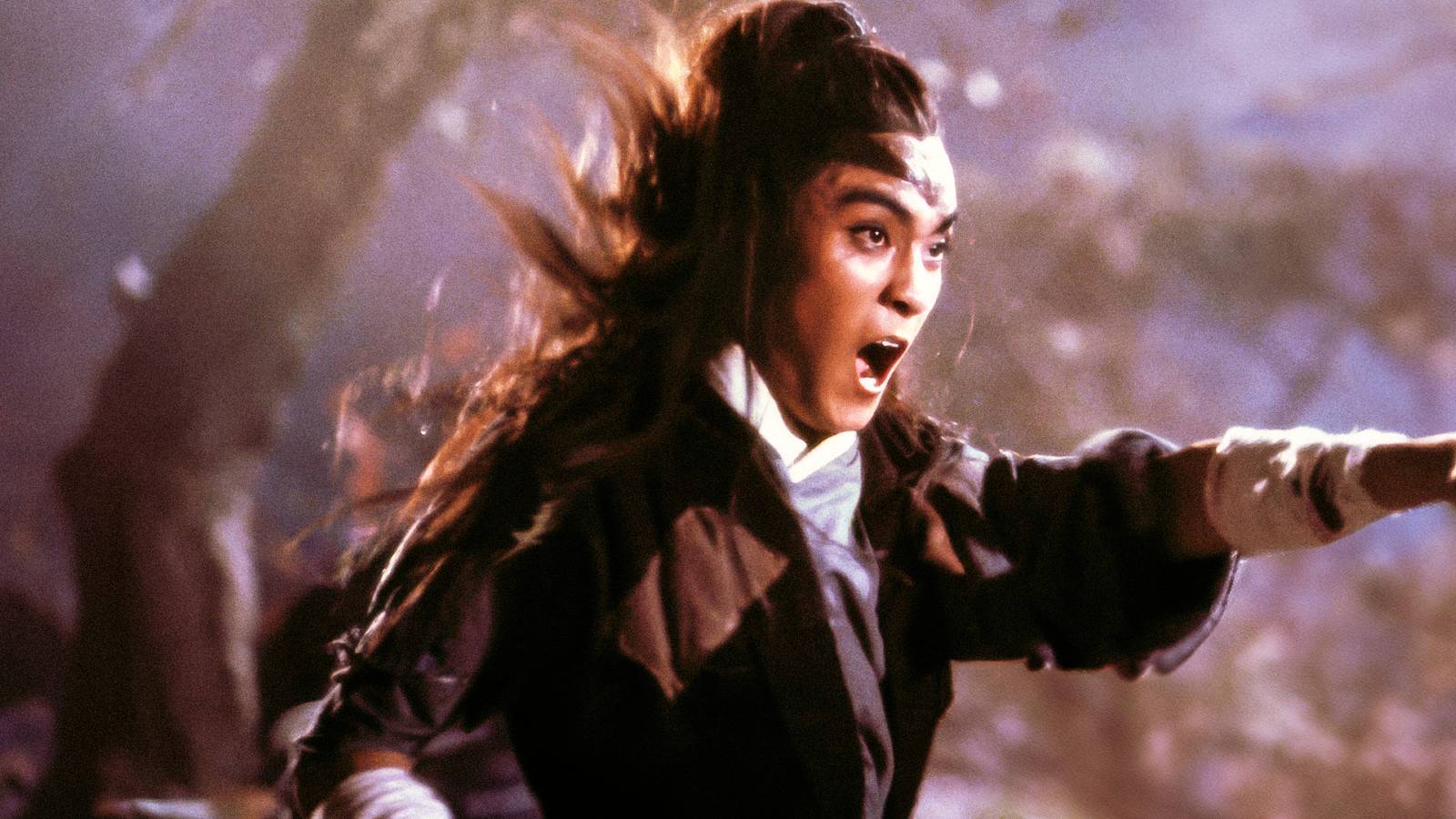 9 Years Ago, This 1970s Kung Fu Movie Star Directed A Great Remake Of ...