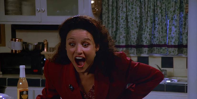 Seinfeld's Characters Are Famous For Petty Breakups, But Elaine Was 100 ...