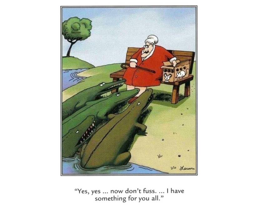 See the Far Side Comic That Represents Your US State (Gary Larson's ...