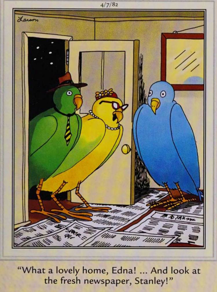 10 Uplifting Far Side Comics to Brighten Your Day